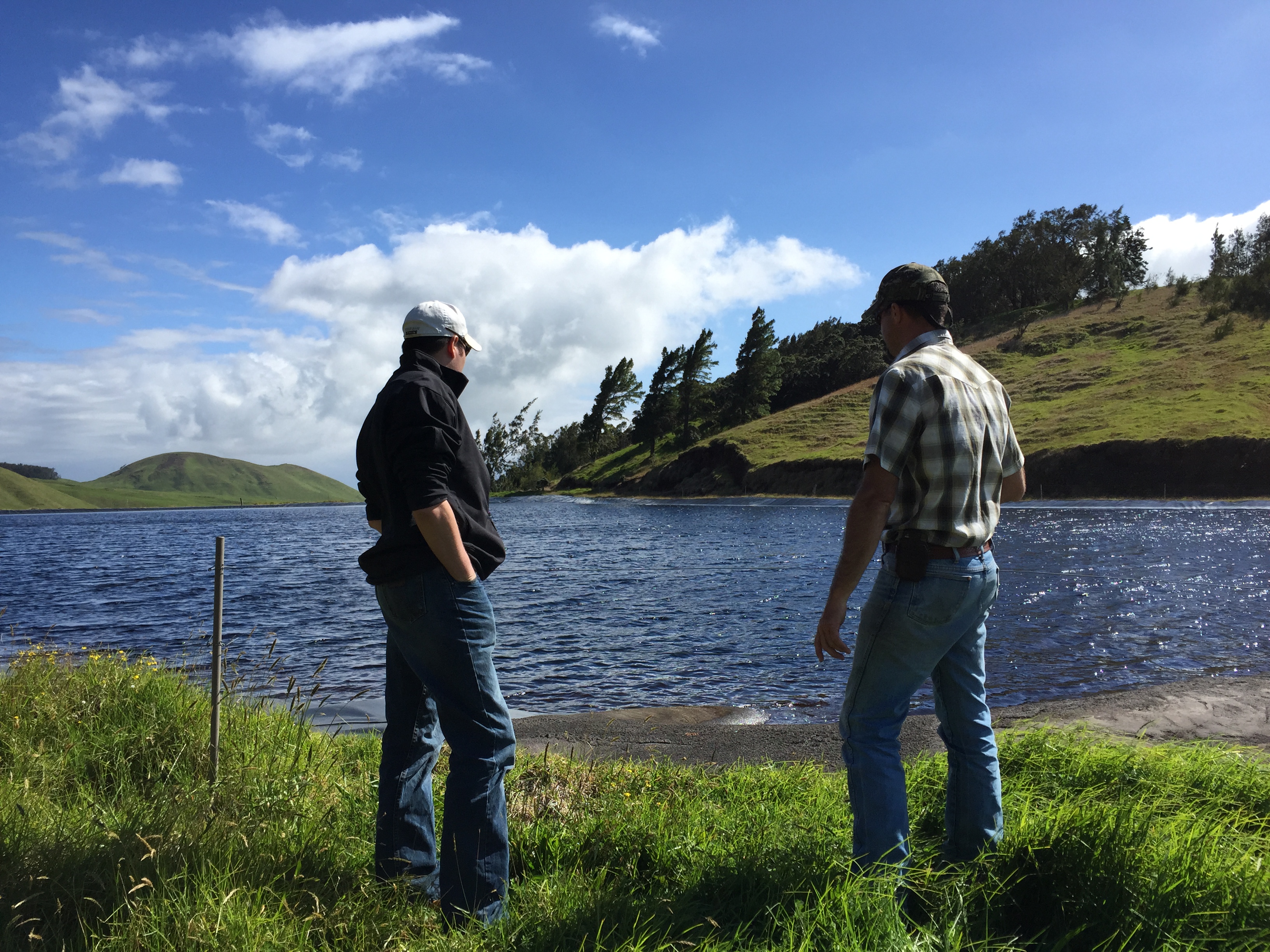 Land & Water Issues